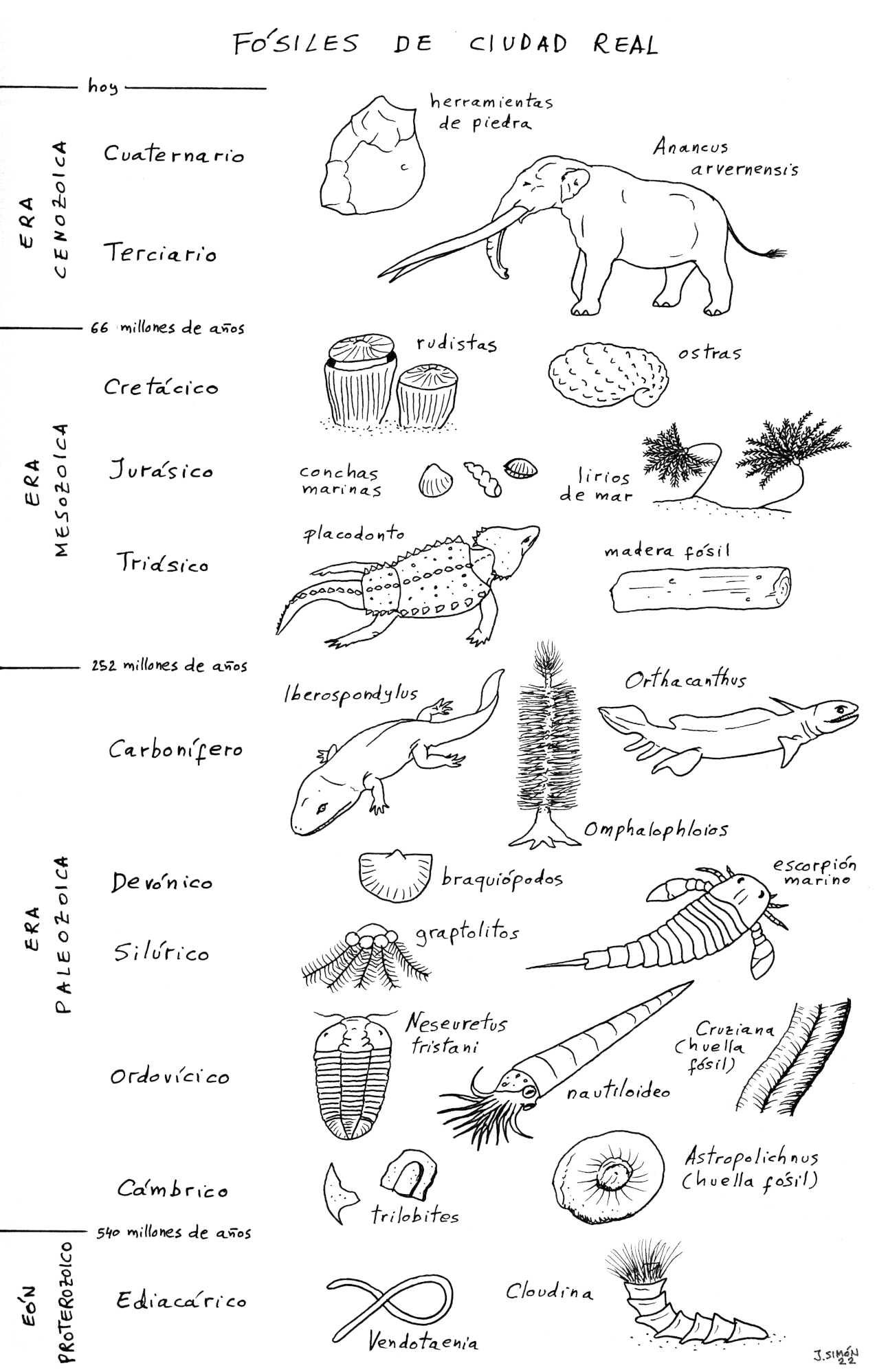 Los fósiles – Historias Naturales
