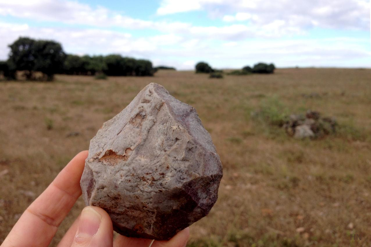 Los talladores de cantos – Historias Naturales